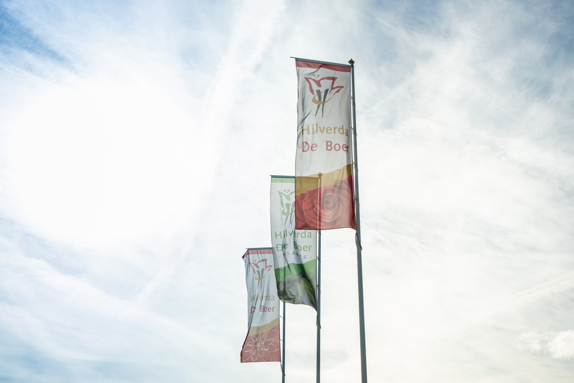 Hilverda De Boer | Marginpar